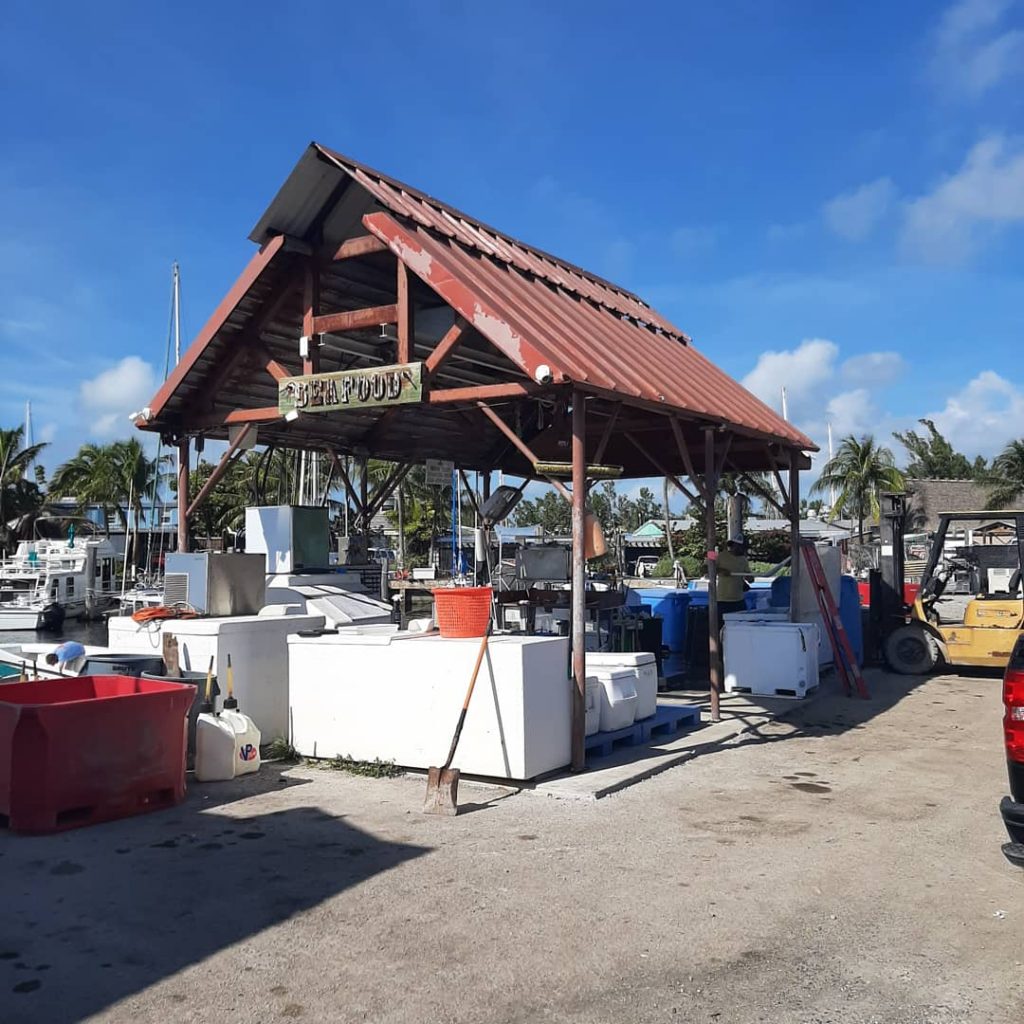 Things to Do in Key West